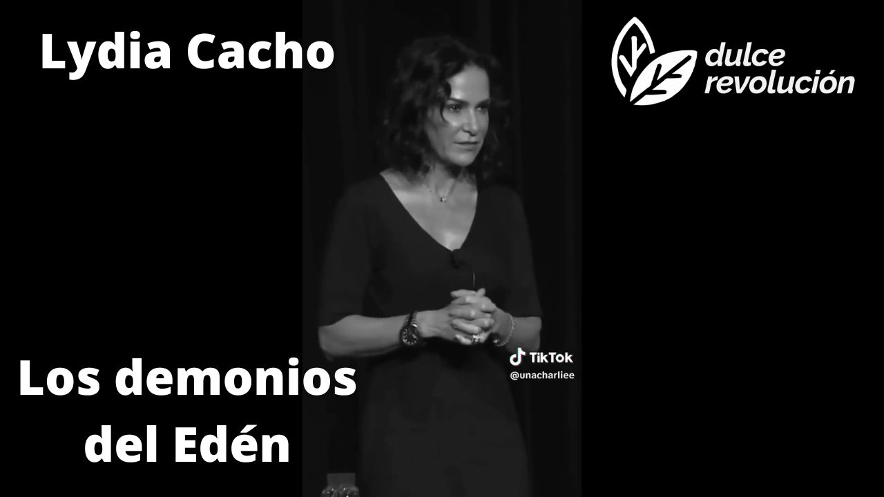 Lydia María Cacho Ribeiro – Los demonios del Edén – Dulce Revolución TV