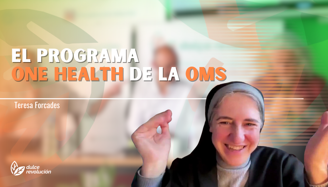 [4º CSC] El programa ONE HEALTH de la OMS – Teresa Forcades. 13-10-24 ...